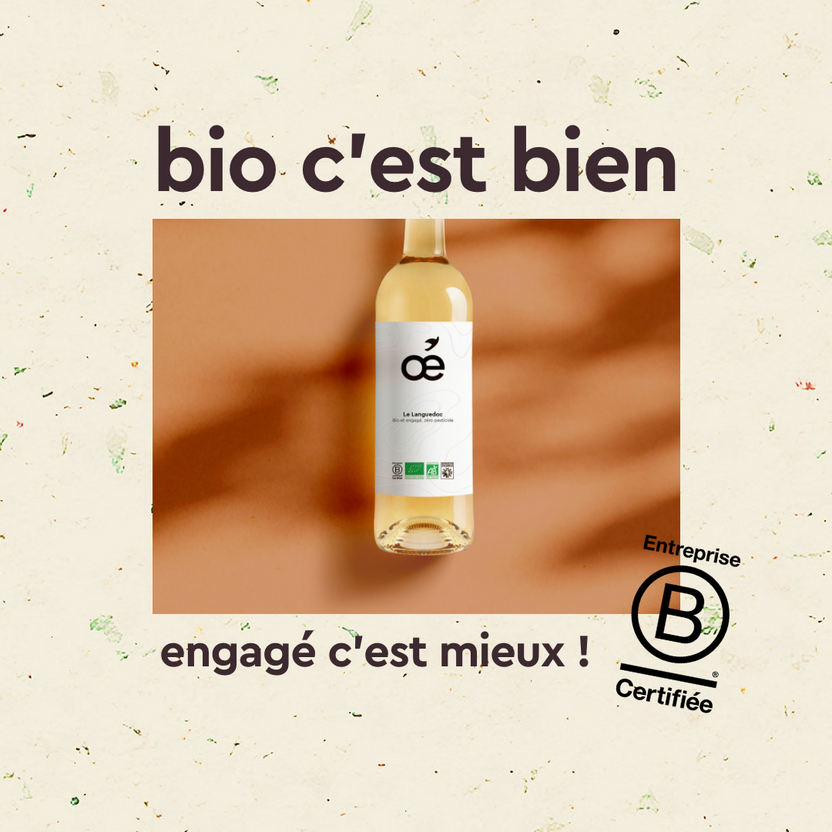 Vin bio : définition et sélection de vins biologiques – Oé